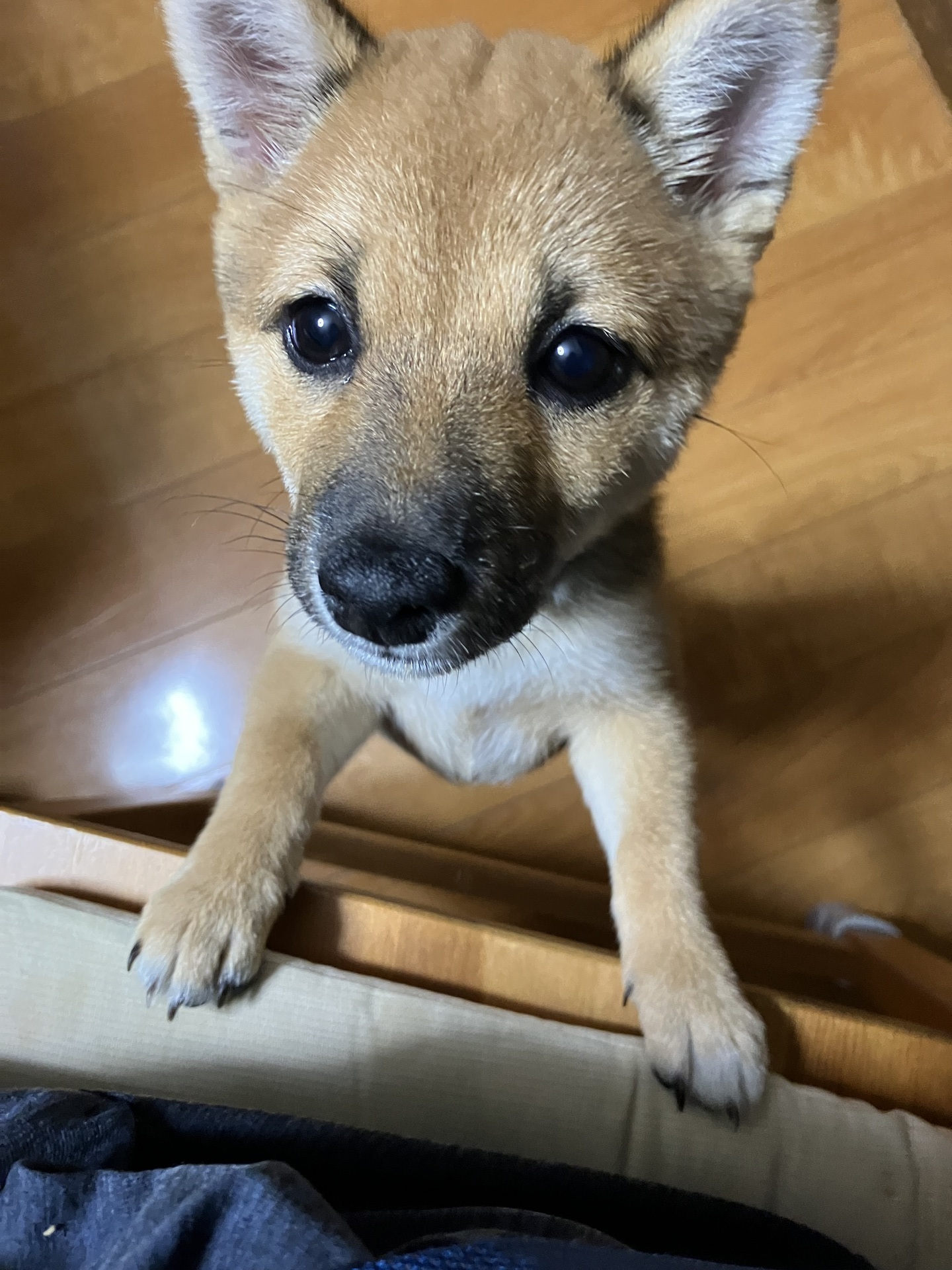 何でも記録しておける備忘録: 医療従事者のためのAccess